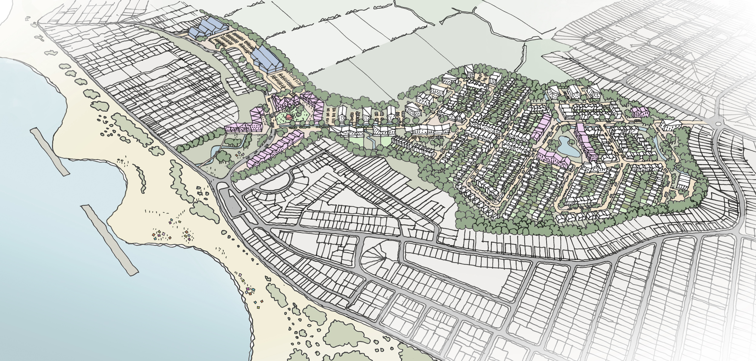 Seaside Regeneration Project | SRP